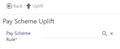 TBWW: How do I apply Pay Scheme Rules?