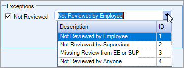 WT: Payroll Timekeeping Review Report